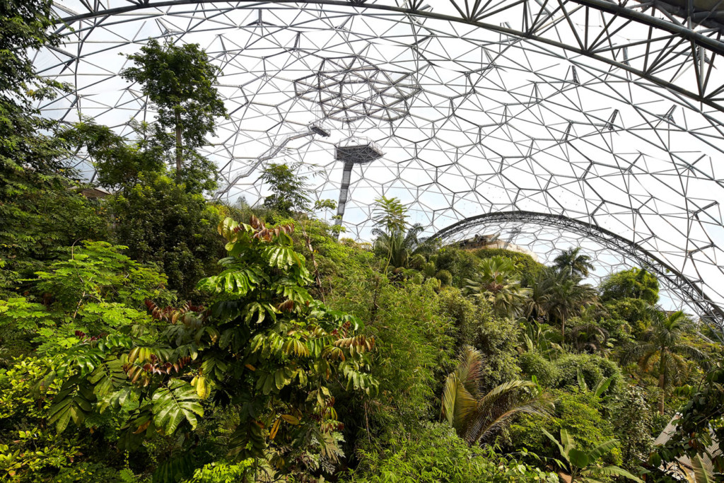 Shining Examples of Interior Landscape Design Projects Around the World